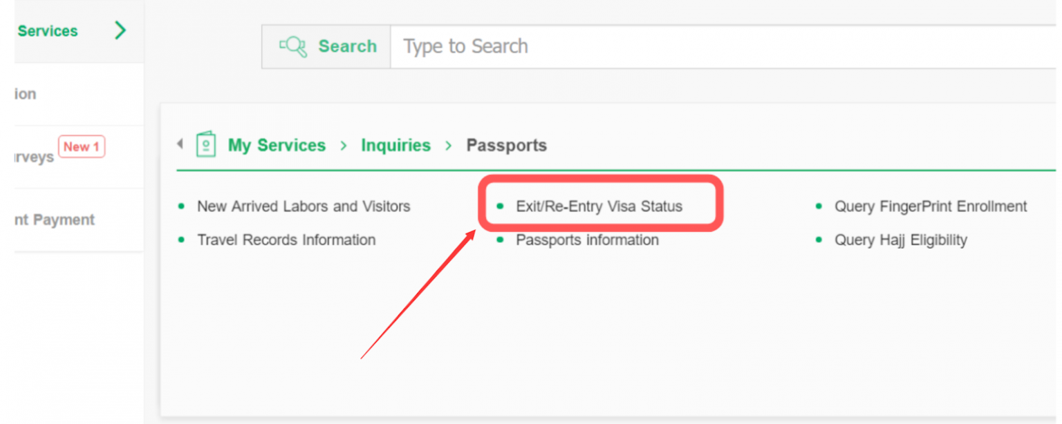 How to Check Exit Re-entry Visa Status & Validity 2024