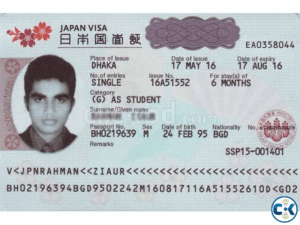 Japan Student Visa: Requirements & Application 2024