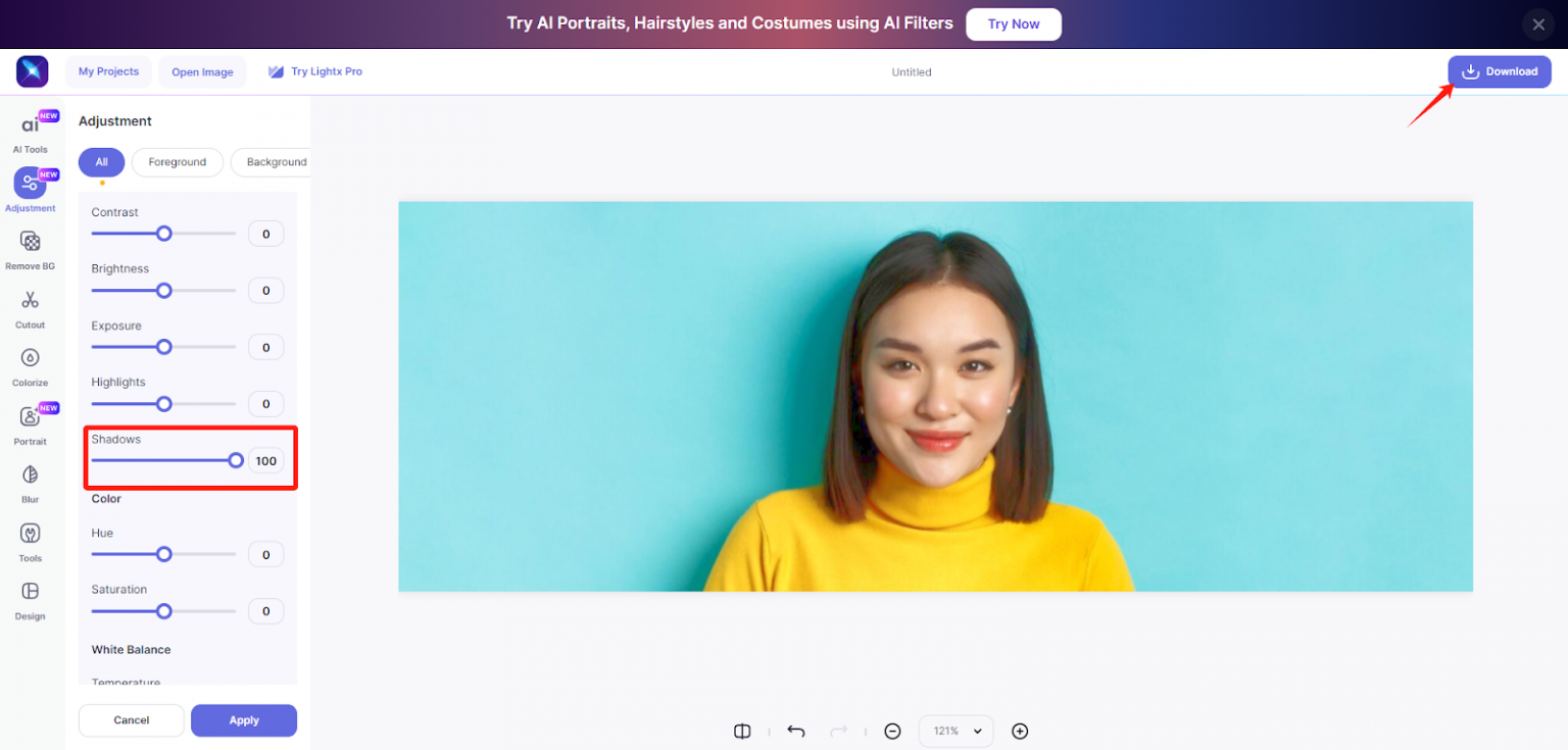 How to Remove Shadow from Photo [Online & Offline Ways]