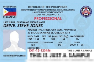 Philippine Professional Driver's License: Requirements, Application ...