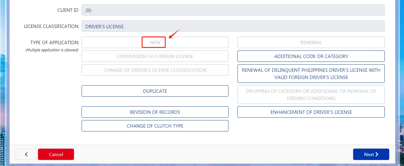 Philippine Professional Driver's License: Requirements, Application ...