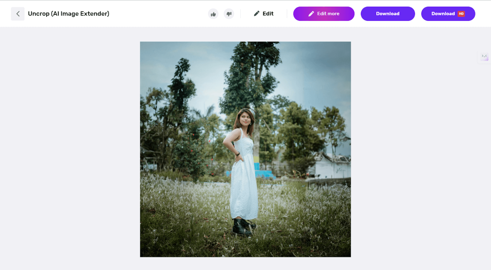 How to Uncrop Image Online Free 2024