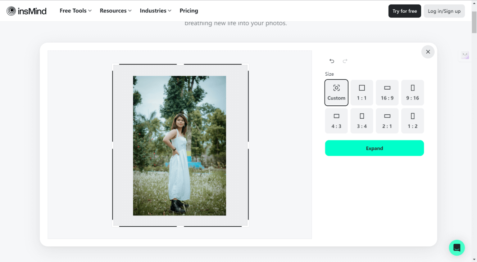 How to Uncrop Image Online Free 2024