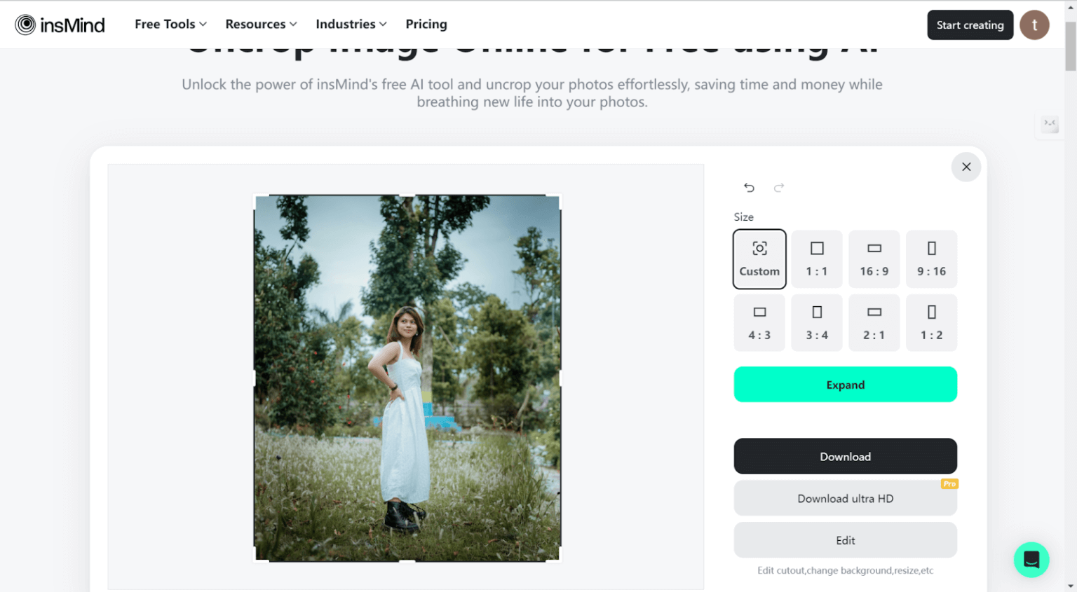 How to Uncrop Image Online Free 2024