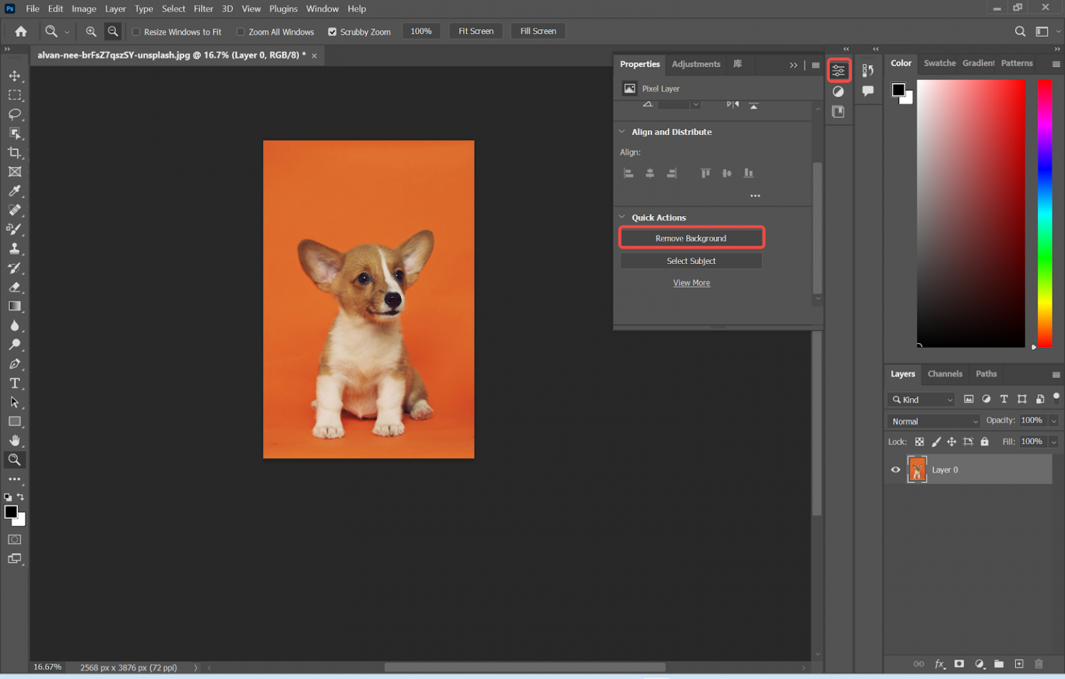 Como remover o fundo da imagem [Guia completo]
